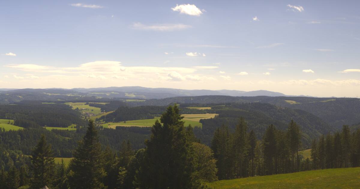 Webcam Furtwangen i. S. - Brendturm - PANOMAX 360°